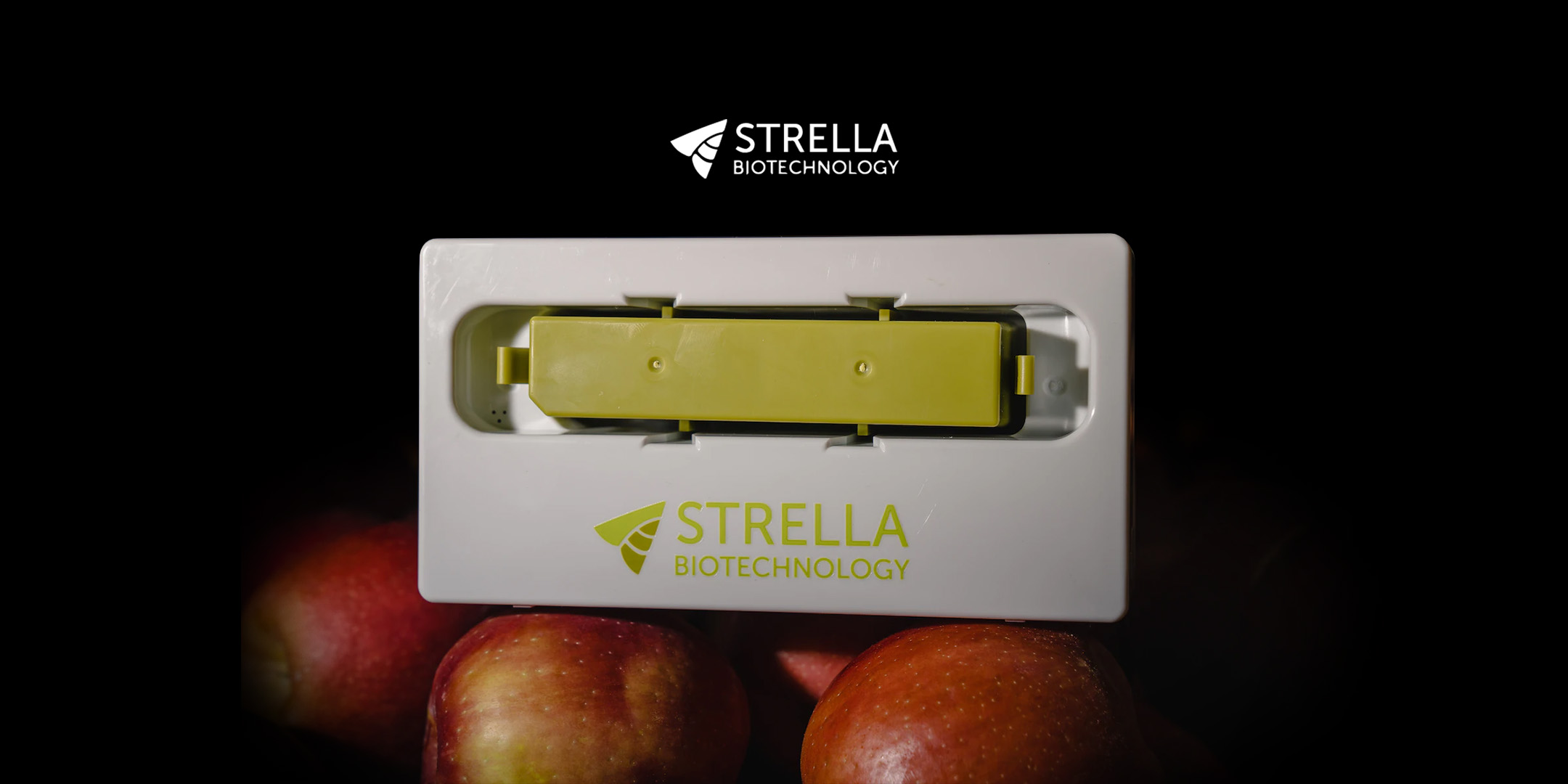 Portfolio – Union Labs